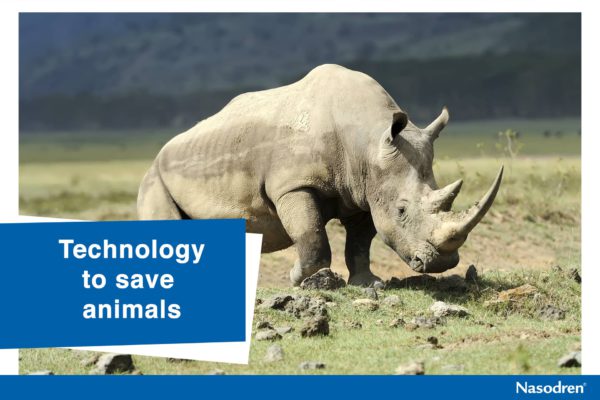 Technology... to save animals? | Nasodren